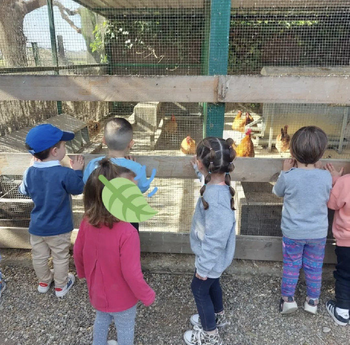 Inteligencia naturalista :: GARRAPINIÑOS